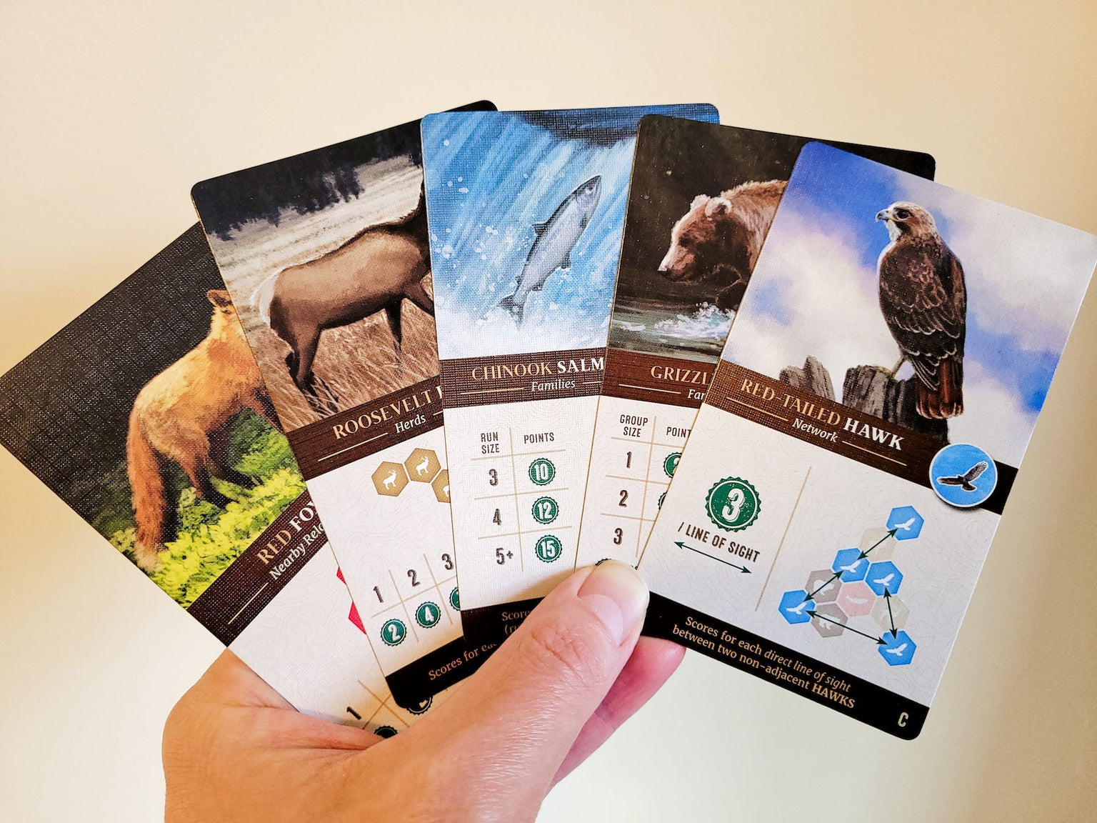 Snapdoodle Toys and Games - Local Toy Store Focused on Unplugged Play ...